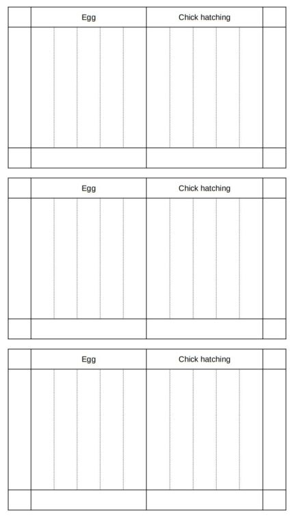 Hatching Easter Egg paper craft – ESL classroom games